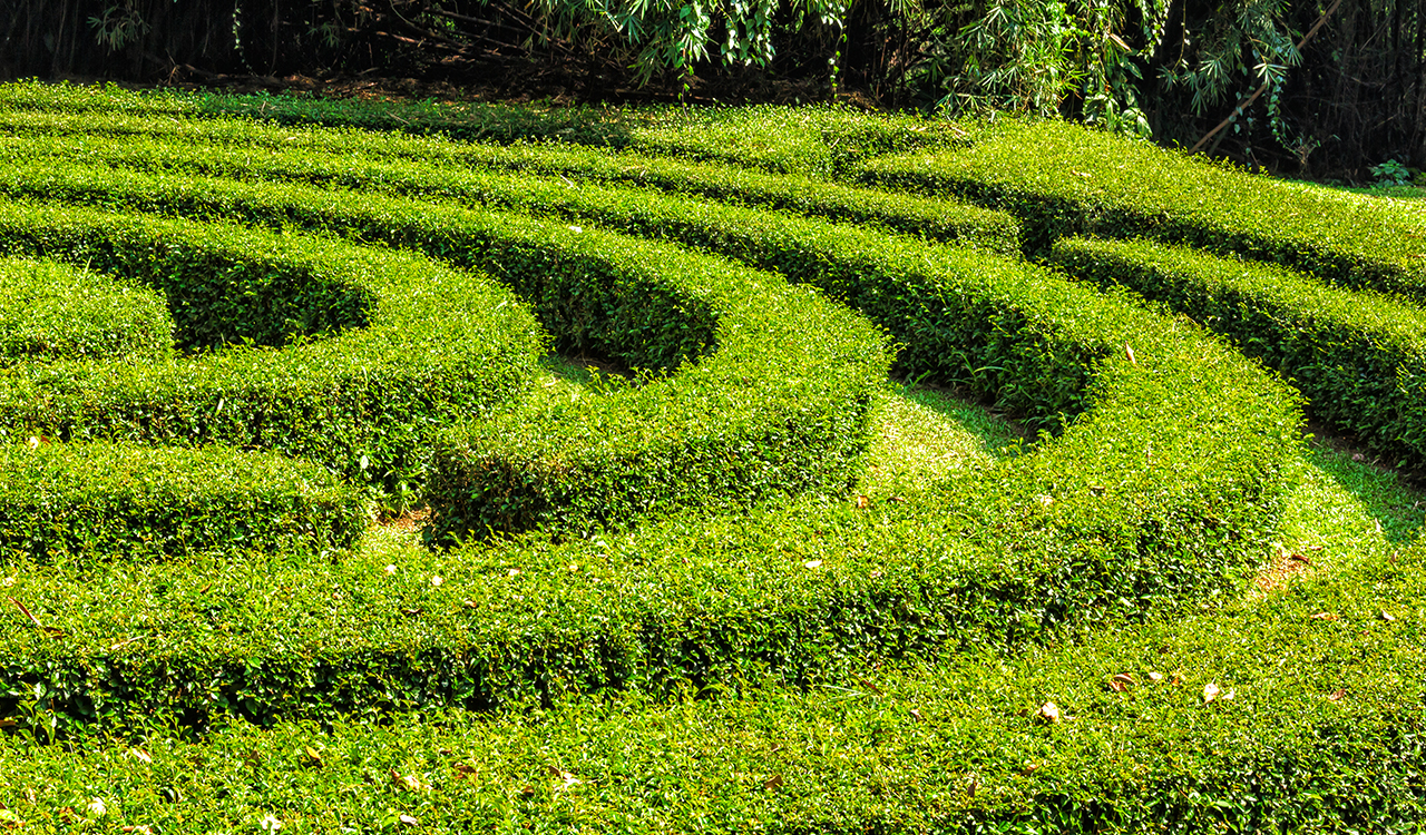 Laberinto del Ajusco: Qué hacer, costos y horarios | Hotel Emporio ...